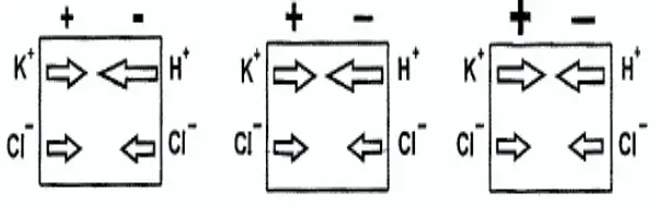 pH Analyzers: pH Meters – What Is Piping